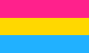 Pansexual Flag Color Codes - Hex, RGB and CMYK Color Codes