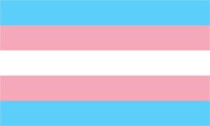 Transgender Flag Color Codes - Hex, RGB and CMYK Color Codes