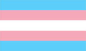Transgender Flag Color Codes - Hex, RGB and CMYK Color Codes