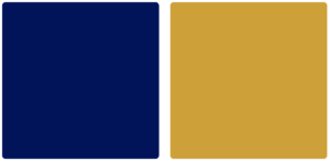 Indiana Flag Color Codes - Hex, RGB and CMYK Color Codes